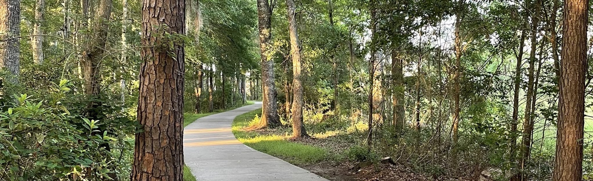 James Brown Loop, Georgia - 72 Reviews, Map | AllTrails