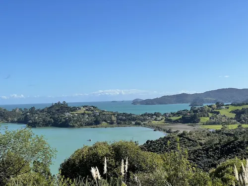 10 Best Trails and Hikes in Coromandel | AllTrails