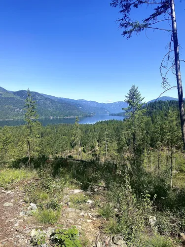 10 Best Trails and Hikes in Christina Lake | AllTrails