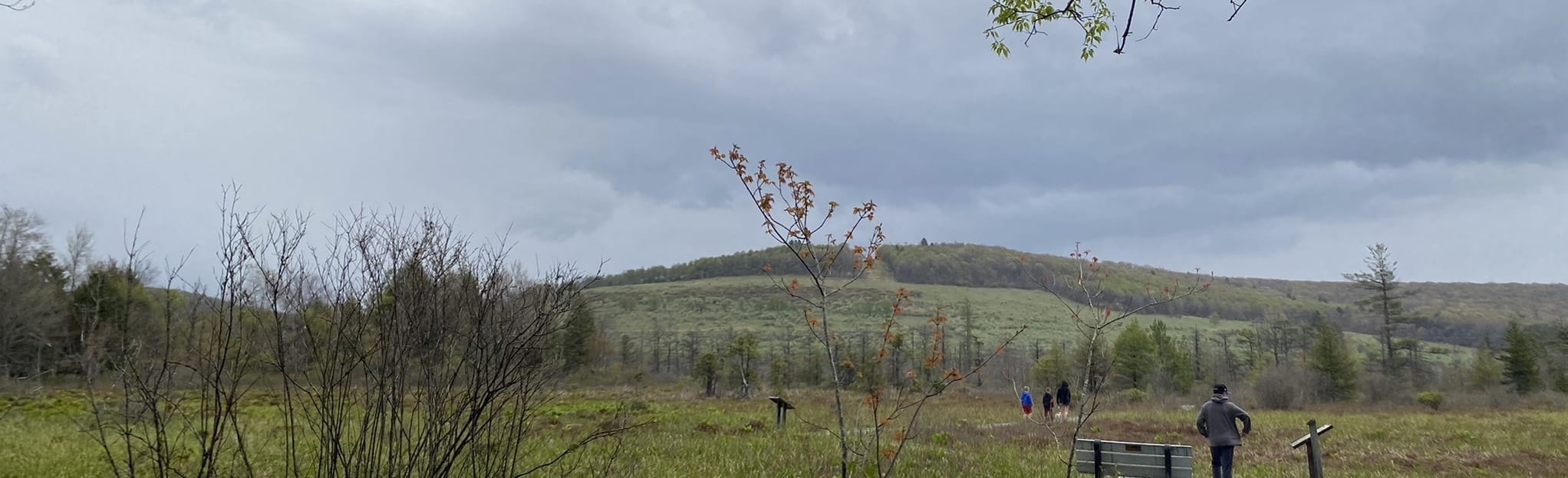 Cranesville Orange and White Trail, West Virginia - 2 Reviews, Map ...