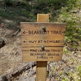 Bearfoot Trail, Arizona - 140 Reviews, Map | AllTrails