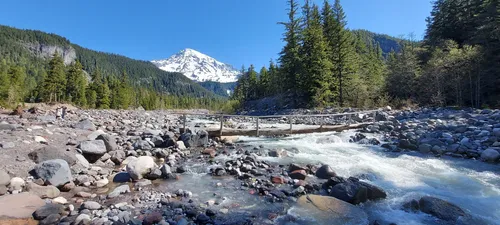 10 Best Trails and Hikes in Longmire | AllTrails
