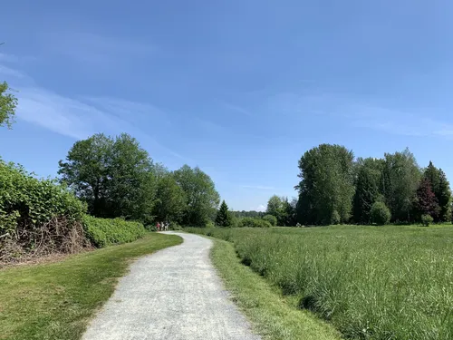 10 Best Walking Trails in Maple Ridge | AllTrails