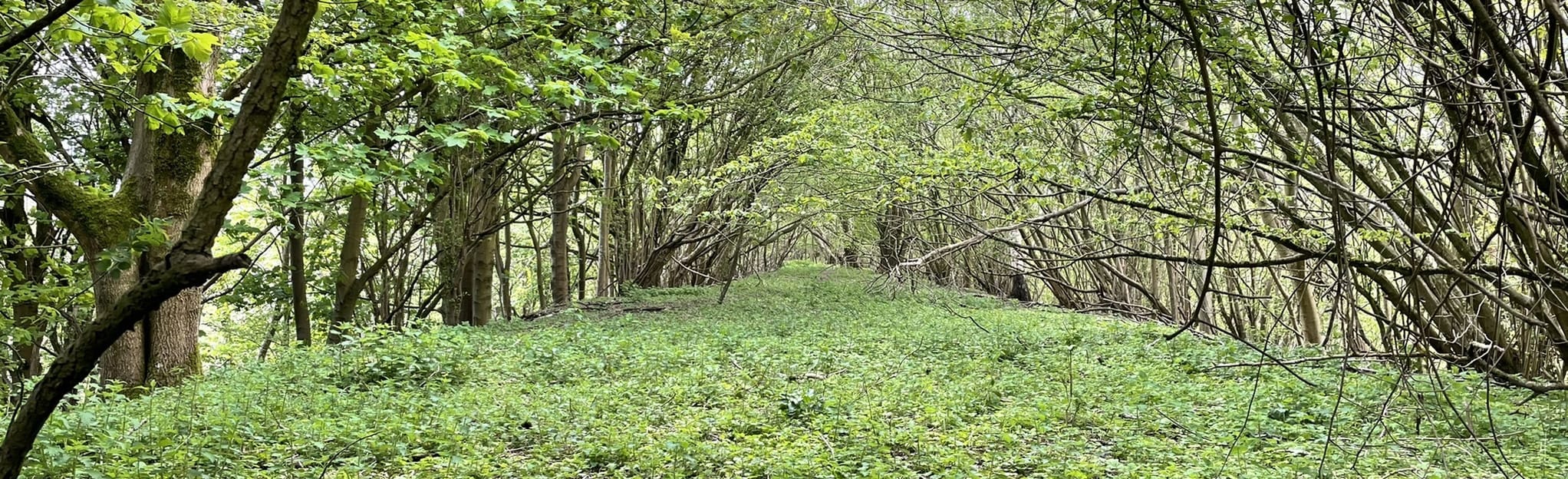 Notgrove Long Barrow Circular: 2 Reviews, Map - Gloucestershire ...