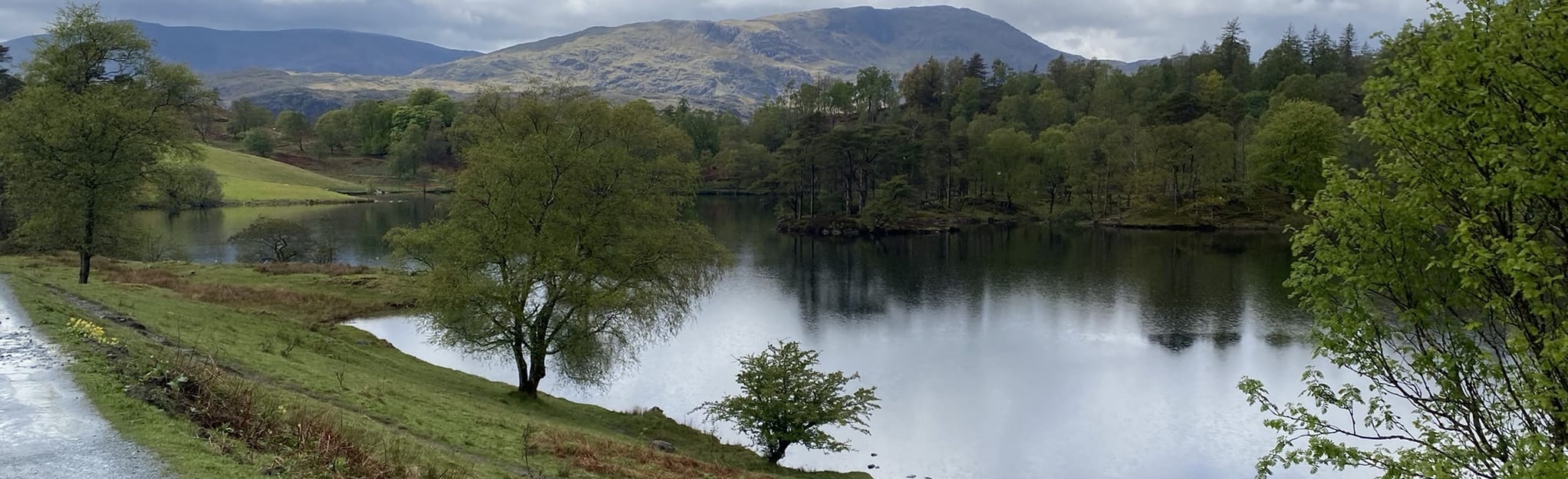 Tom Gill, Tarn Hows and Tom Heights Circular, Cumbria, England - 114 ...