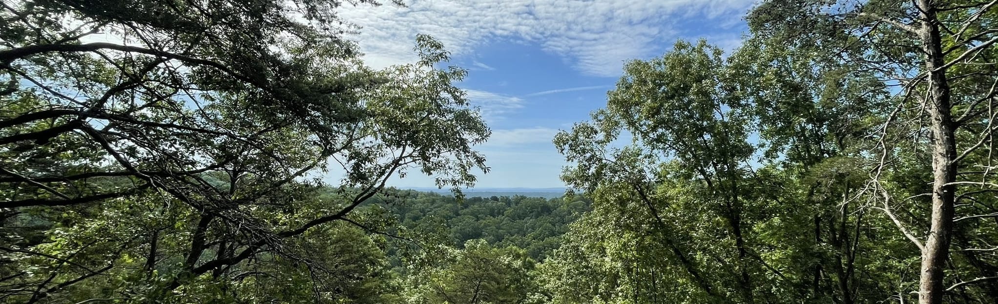 Oak Mountain Blue Trail to White Trail Loop: 197 Reviews, Map - Alabama ...