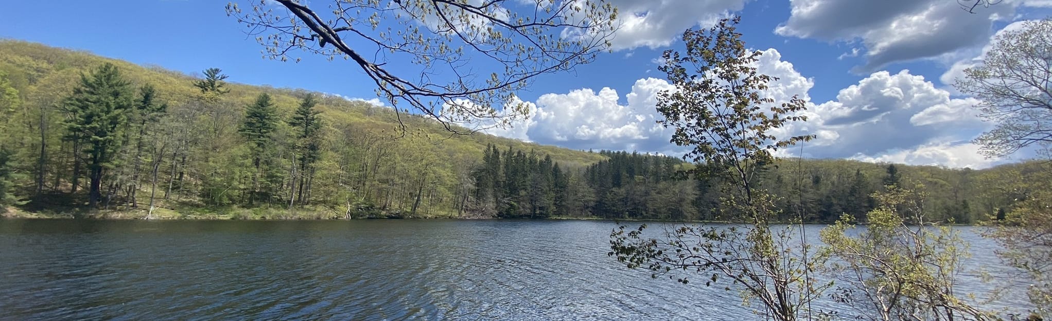 Benedict Pond Loop and AT to Monterey Road, Massachusetts - 53 Reviews ...