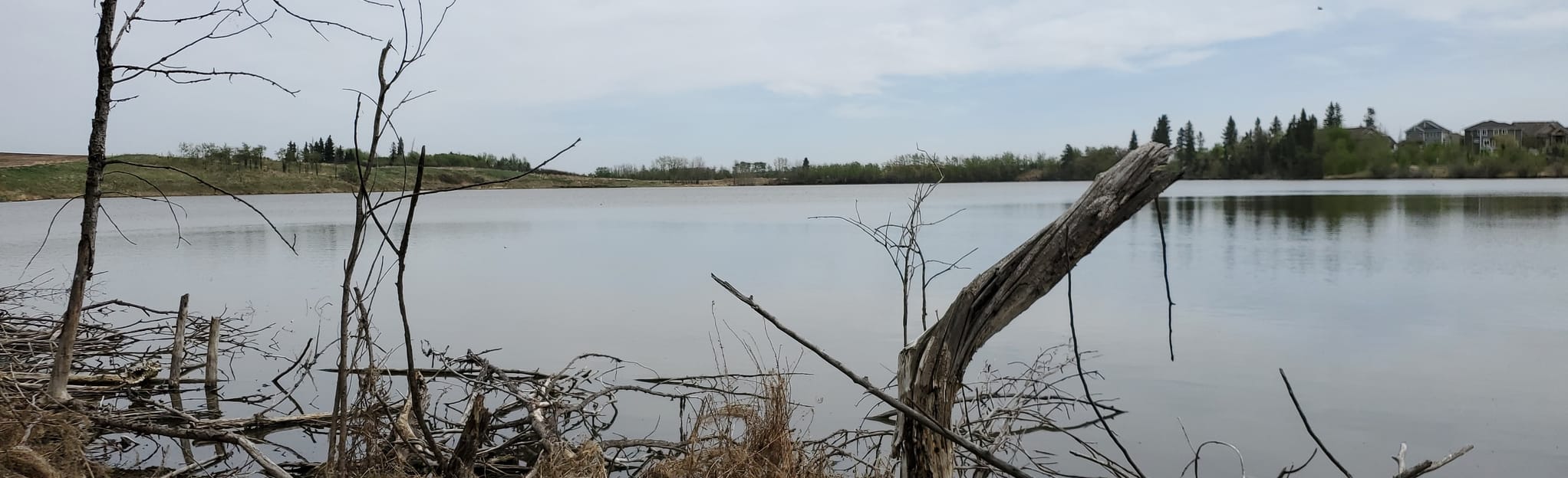 Henners Lake Loop: 9 foto's - Alberta, Canada | AllTrails