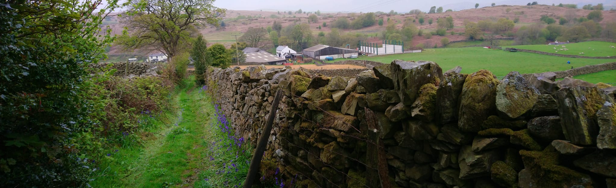 Lowick Common and Lads Head Plantation Circular | Map, Guide - Cumbria ...