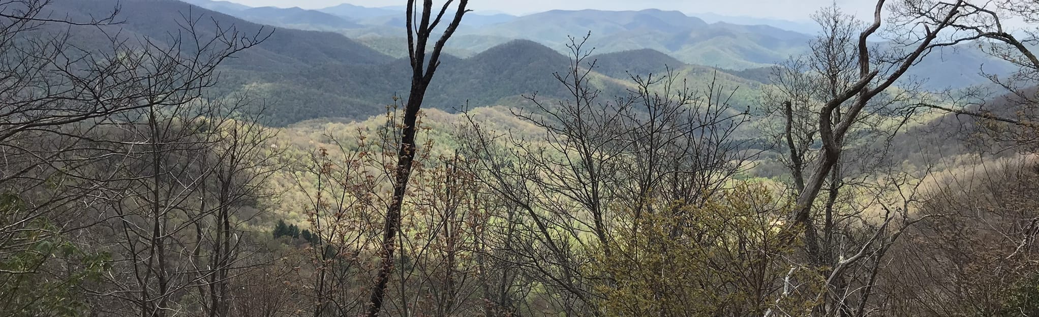 Wayah Bald to Sawmill Gap via Bartram Trail - North Carolina | AllTrails