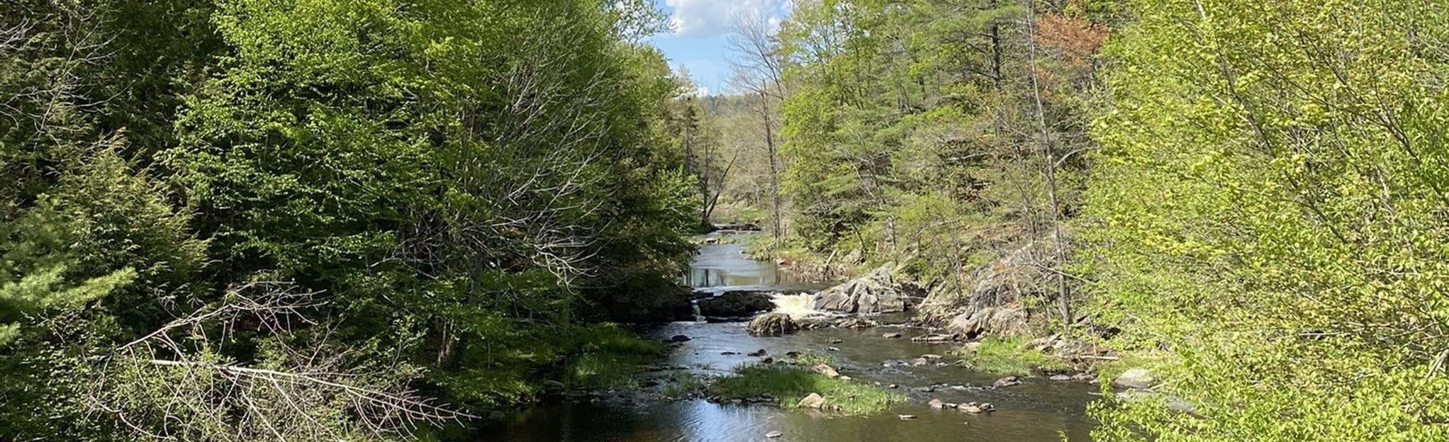 Monroe Falls : 63 Photos - Maine | Randonnée | AllTrails