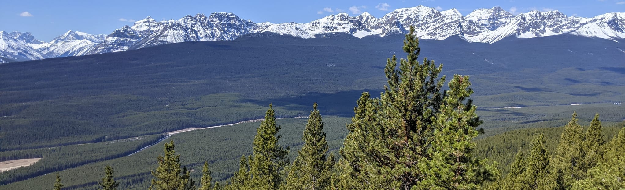 Castle Mountain Lookout Trail - Alberta, Canada | AllTrails