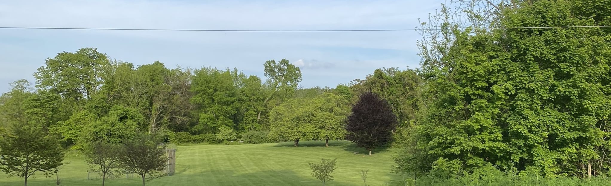 Morgan’s Grove Park Trail: 40 Reviews, Map - West Virginia | AllTrails