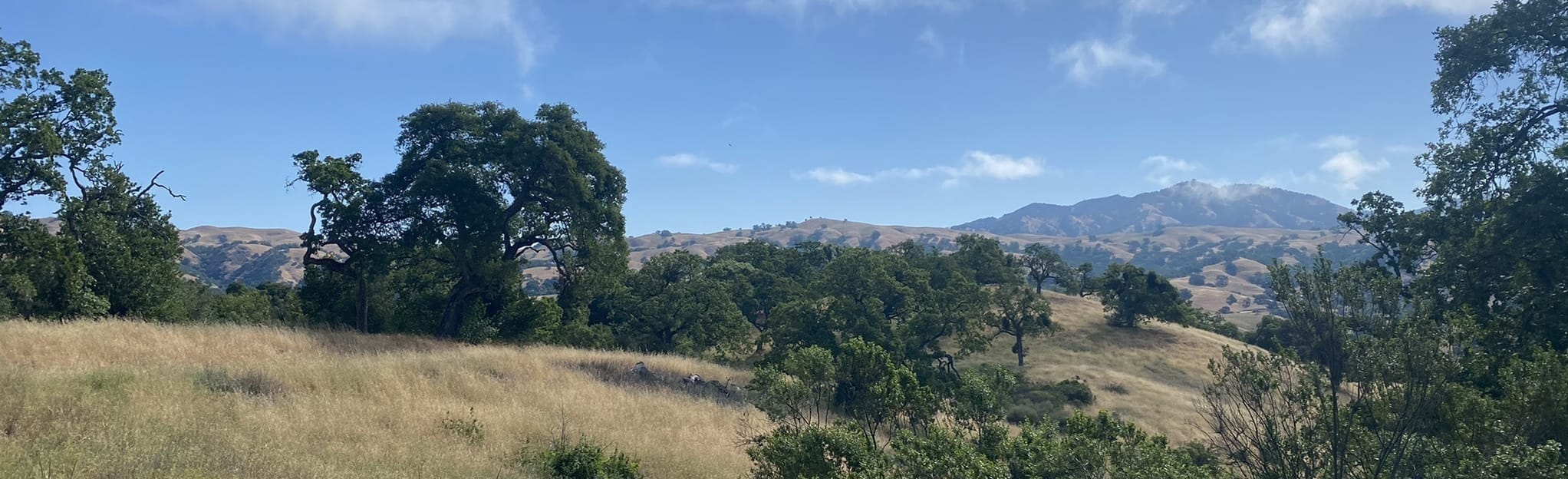 Dairy, Brush, Hotel and Snell Trail Loop: 32 Reviews, Map - California ...