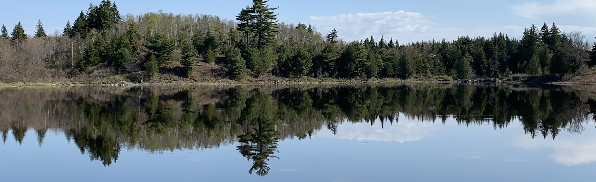 MacFarlane Lake Loop: 57 Reviews, Map - New Brunswick, Canada | AllTrails