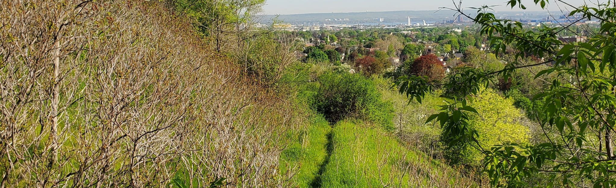 Escarpment Rail Trail - Mountain Brow - Wentworth Stairs: 33 Reviews ...