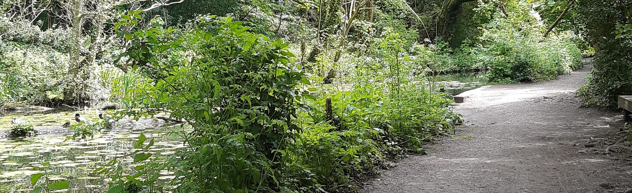 Cardiff Ely Trail, Cardiff, Wales - 6 Reviews, Map | AllTrails