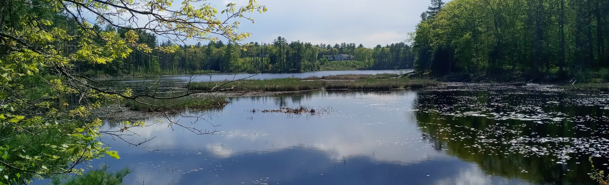 Windham Rail Trail from Main Street, New Hampshire - 817 Reviews, Map ...