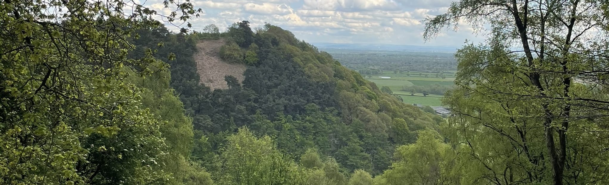 Sandstone Trail, Duckington, and Delamere Forest, Cheshire, England - 7 ...