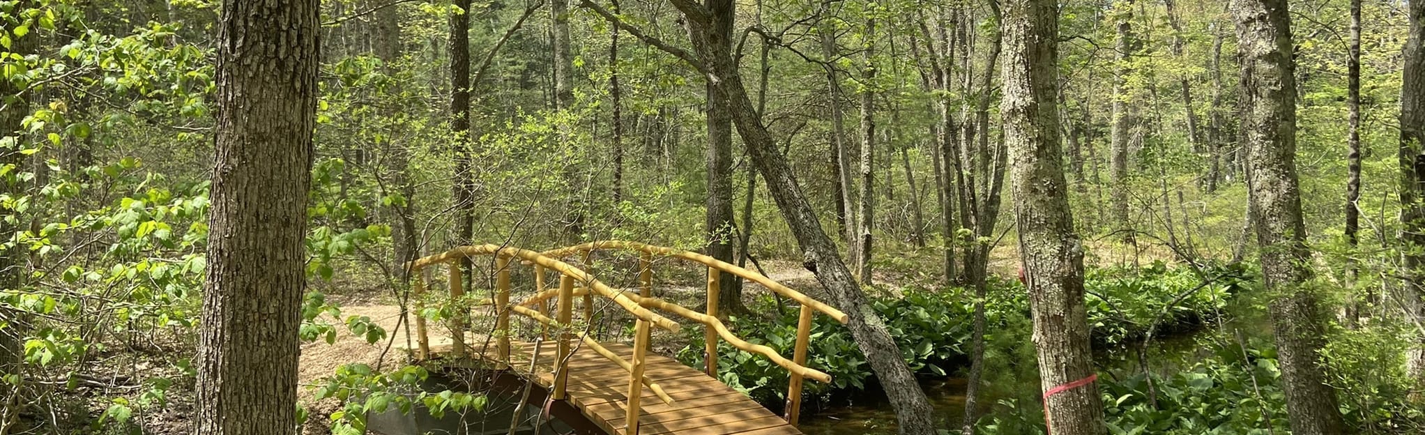 Norcross Wildlife Sanctuary Loop, Massachusetts - 17 Reviews, Map ...