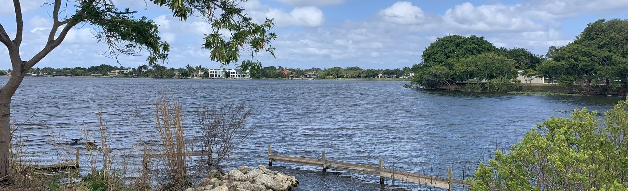 Lake Ida Trail - Florida | AllTrails