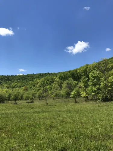 Best Hikes and Trails in Green Ridge State Forest | AllTrails