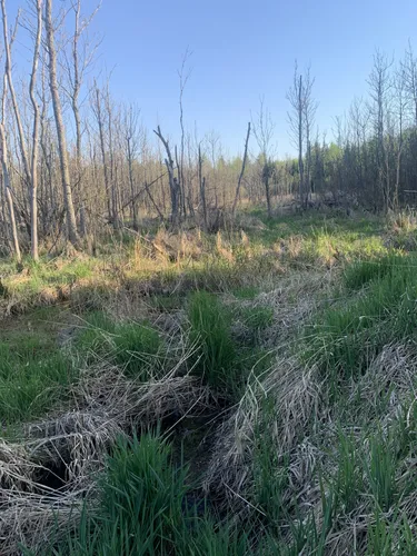 Best Hikes and Trails in Azilda | AllTrails