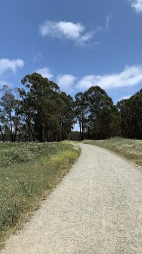 Best Kid Friendly Trails in Point Pinole Regional Park | AllTrails