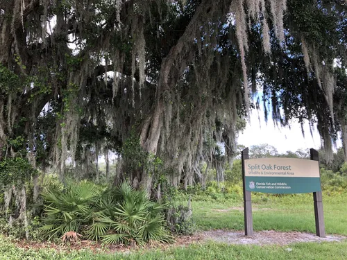 Best Hikes and Trails in Split Oak Forest Wildlife And Environmental ...