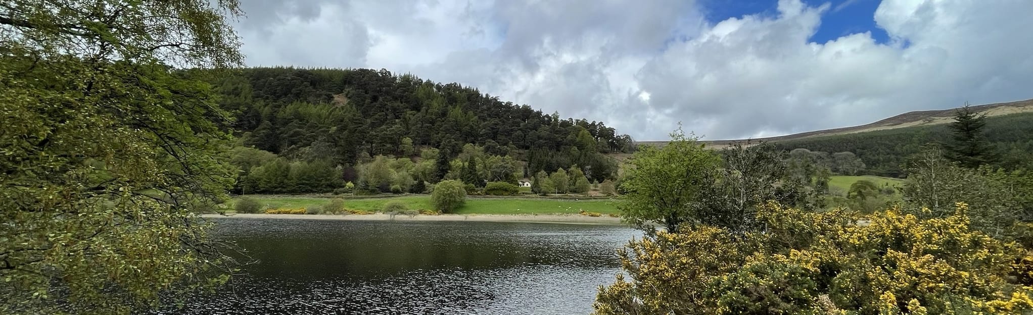 Glendalough Loop via The Spink: 476 Reviews, Map - County Wicklow ...