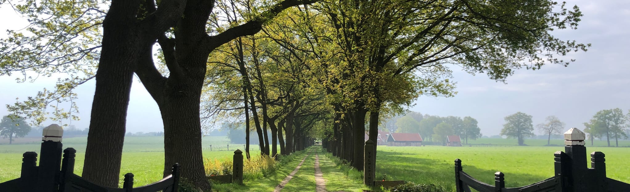 Tubbergen Groene Wandelroute, Overijssel, Netherlands - Map, Guide ...