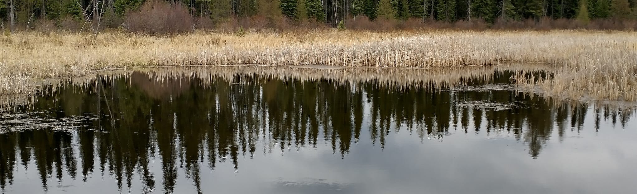 Whitewater Lake from Strathclair Trailhead via Central Trail: 5 Reviews ...
