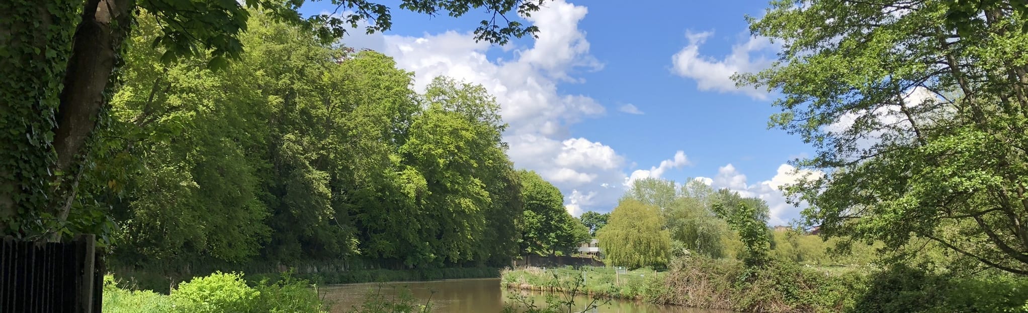 Guildford Castle and Chantry Wood Circular: 35 Reviews, Map - Surrey ...