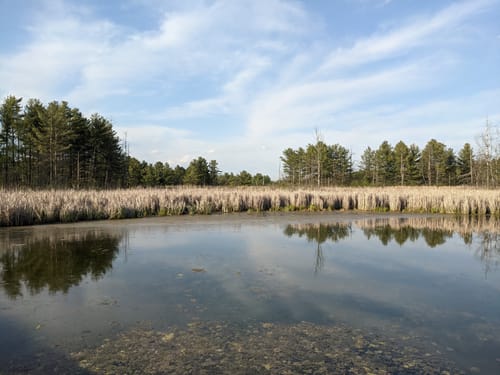 2023 Best 10 Trails and Hikes in Kingston | AllTrails