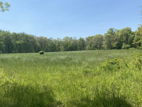 2023 Best Forest Trails in Wood River Junction | AllTrails