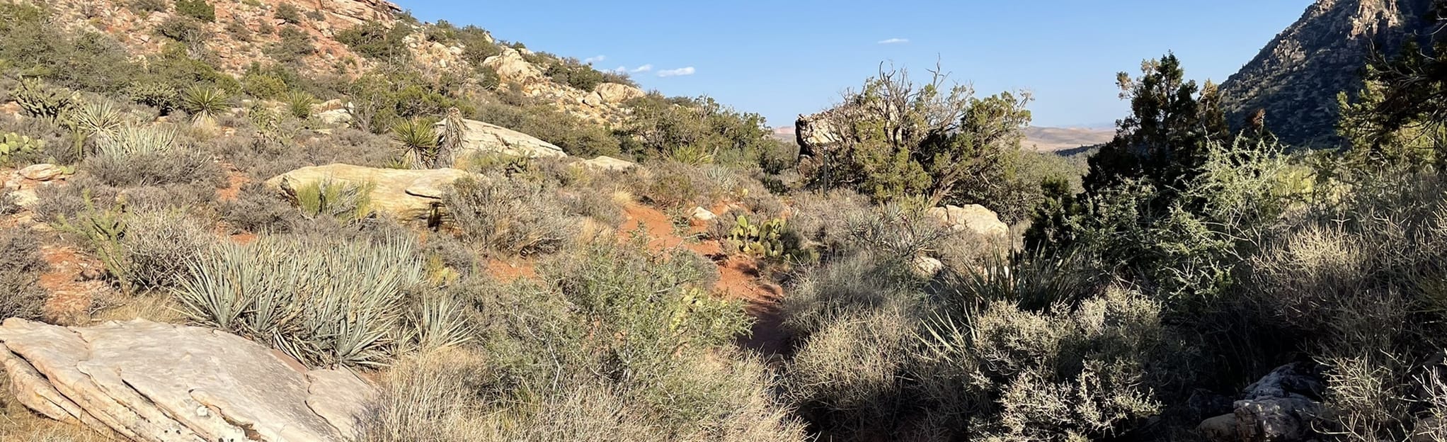 Willow Springs Loop Trail - Nevada | AllTrails