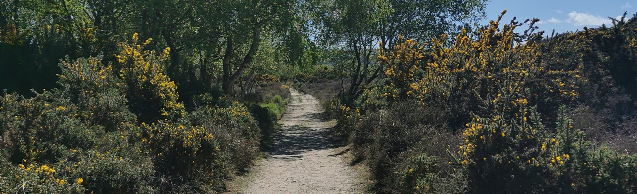 Little Sea and Studland Bay Circular: 20 foto's - Dorset, Engeland ...