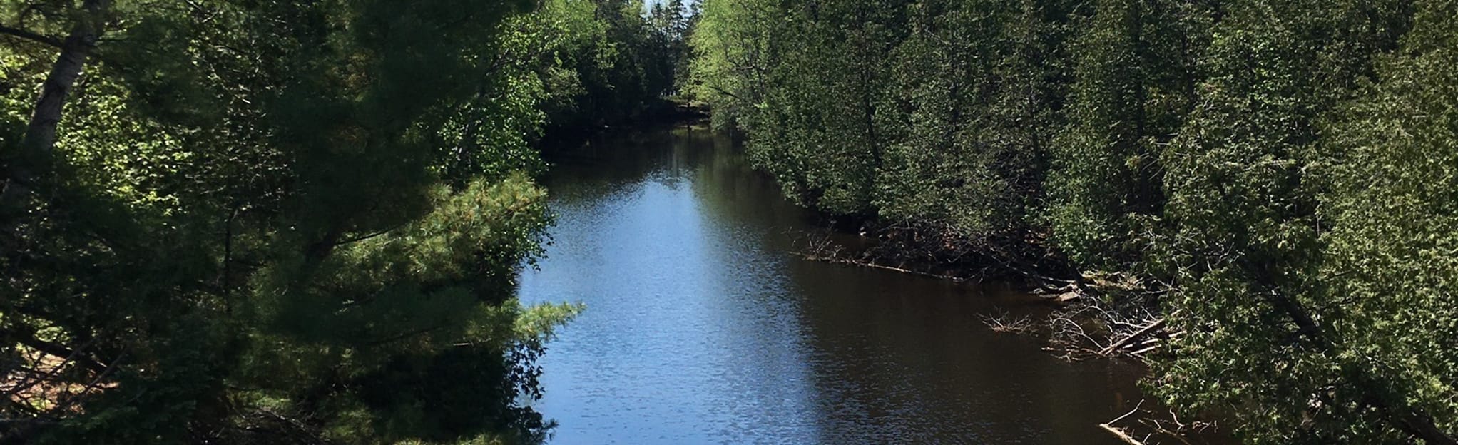 Former Beachburg Subdivision Trail, Ontario, Canada - 4 Reviews, Map ...