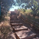 Vulcan Steps, California - 40 Reviews, Map | AllTrails