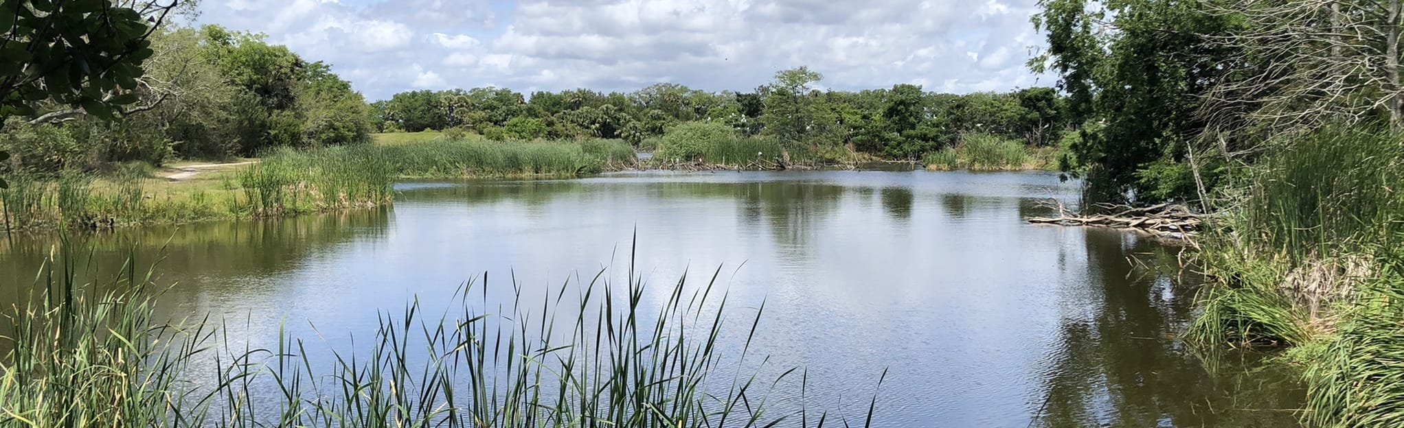 Ibis Pond Loop - South Carolina | AllTrails
