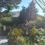 Vulcan Steps, California - 40 Reviews, Map | AllTrails