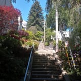 Vulcan Steps, California - 40 Reviews, Map | AllTrails