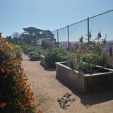 Vulcan Steps, California - 40 Reviews, Map | AllTrails