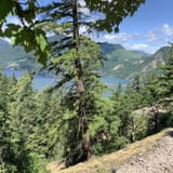 Mitchell Point Trail [CLOSED], Oregon - 485 Reviews, Map | AllTrails