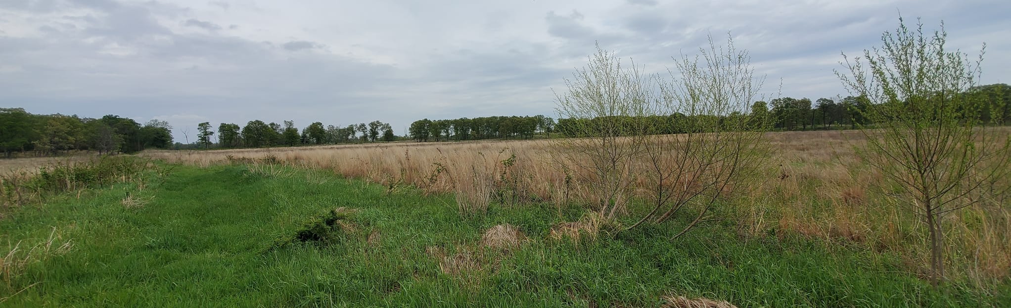 Prairie Border Trail, Indiana - 6 Reviews, Map | AllTrails