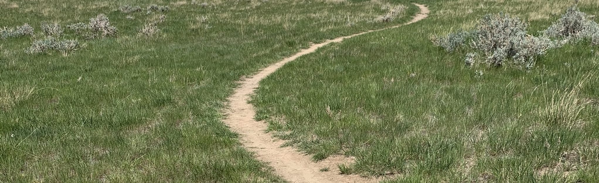 Antelope Loop Trail: 32 Reviews, Map - Wyoming | AllTrails