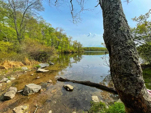 Best Camping Trails in Worthington State Forest | AllTrails