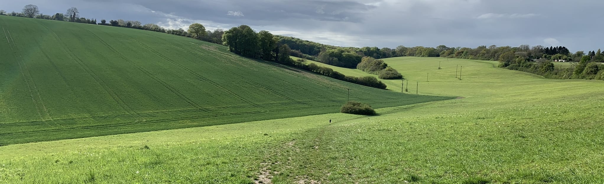 Chesham - Captain's Wood, Buckinghamshire, England - 4 Reviews, Map ...