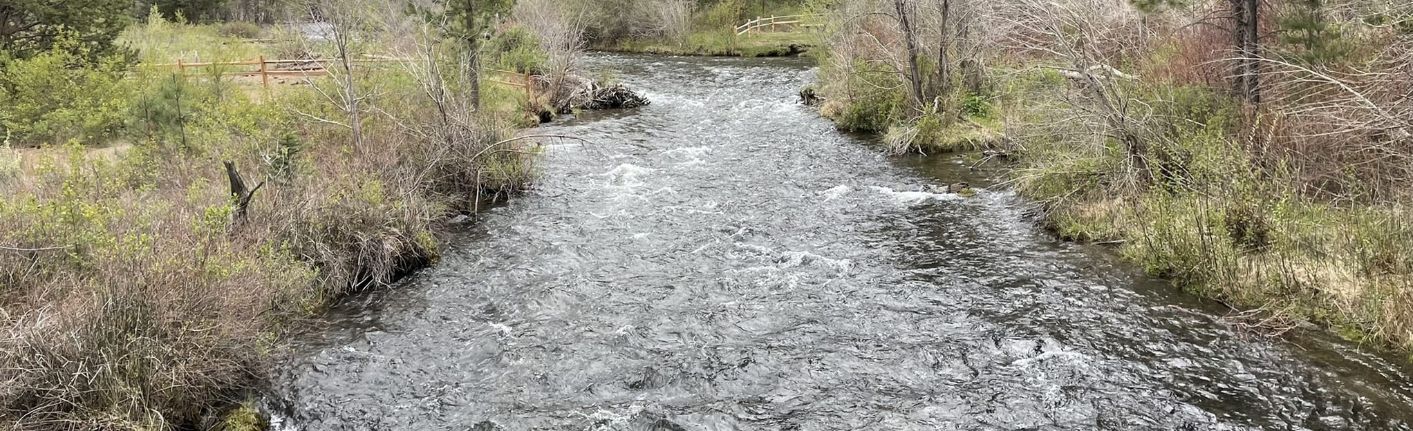 Shevlin Park Trail and Tumalo Creek Loop - Oregon | AllTrails