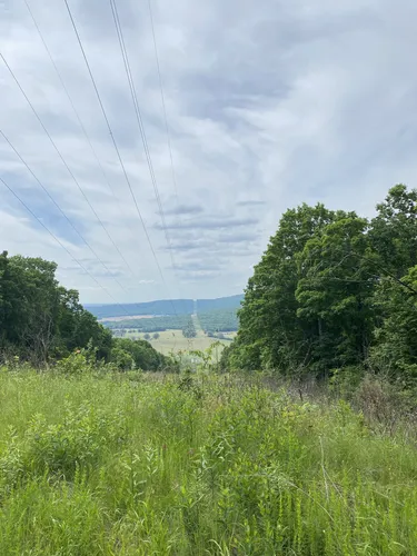 Best Hikes and Trails in Monteagle | AllTrails